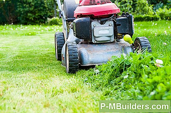 Comment Utiliser La Mousse De Tourbe Pour Niveler Votre Jardin 🔧 ...