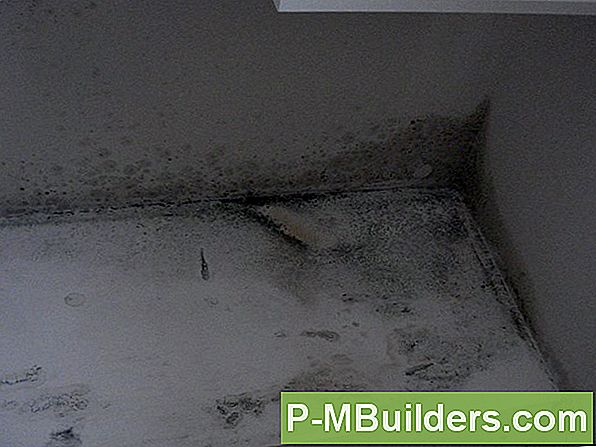 Comment Se Débarrasser De La Moisissure Sur Votre Osb 🔧 Conseils Pour L ...